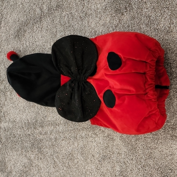Dream Play Imagine | Costumes | Ladybug Costume | Poshmark